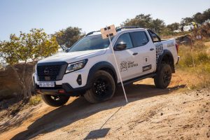 Mapunga leads Starlink’s African charge with Shona Prince - The ...