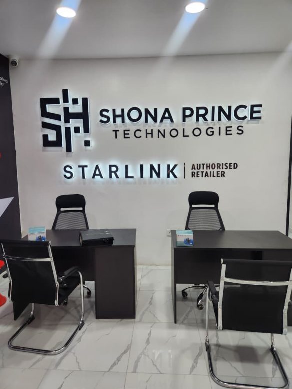 Mapunga leads Starlink’s African charge with Shona Prince - The ...
